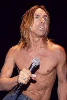 The Stooges, Brother, Two Door Cinema Club For Evolution Festival ...